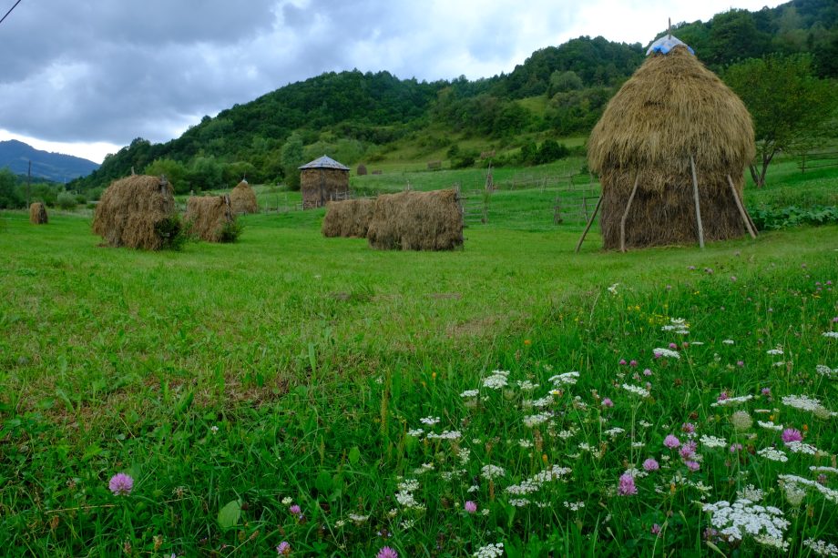 Ruta camper por las iglesias de madera de Maramures